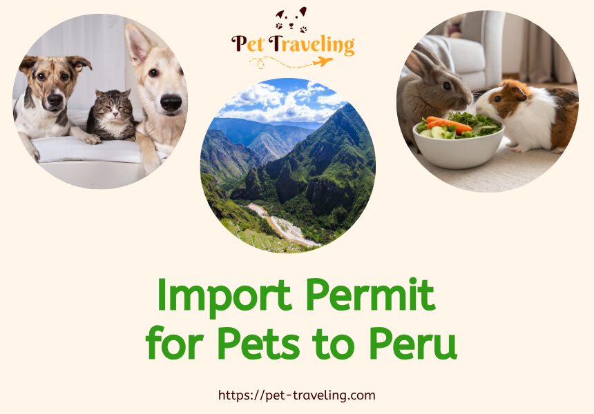 Import Permit - Pet Traveling